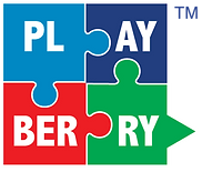 Playberry Tier 3 Multisensory Literacy Program - Playberry Laser ...