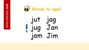 Playberry-Laser - Playberry Laser Multisensory Literacy Program