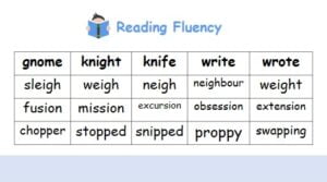 Playberry-Laser - Playberry Laser Multisensory Literacy Program