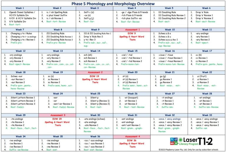 Playberry-Laser - Playberry Laser Multisensory Literacy Program