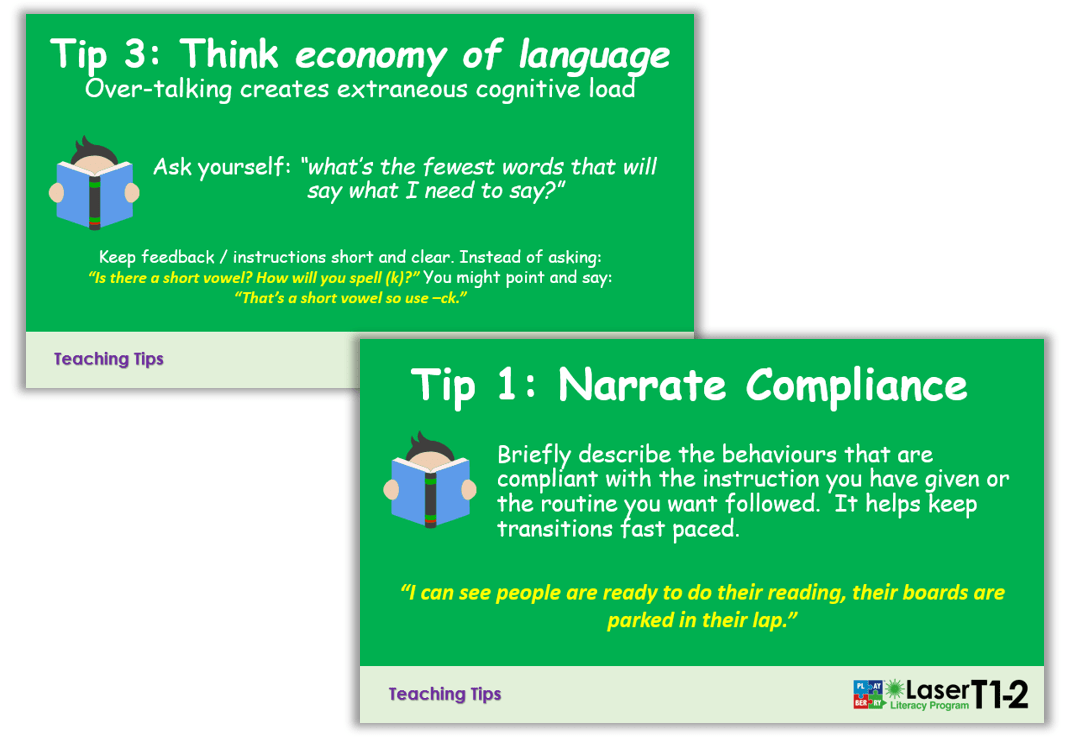 Updated 2024 Teacher Manual - Playberry Laser Multisensory Literacy Program