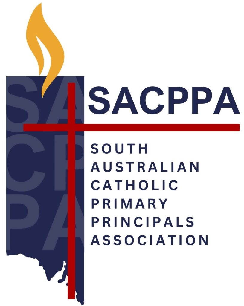 Playberry-Laser-Assessments - Playberry Laser Multisensory Literacy Program